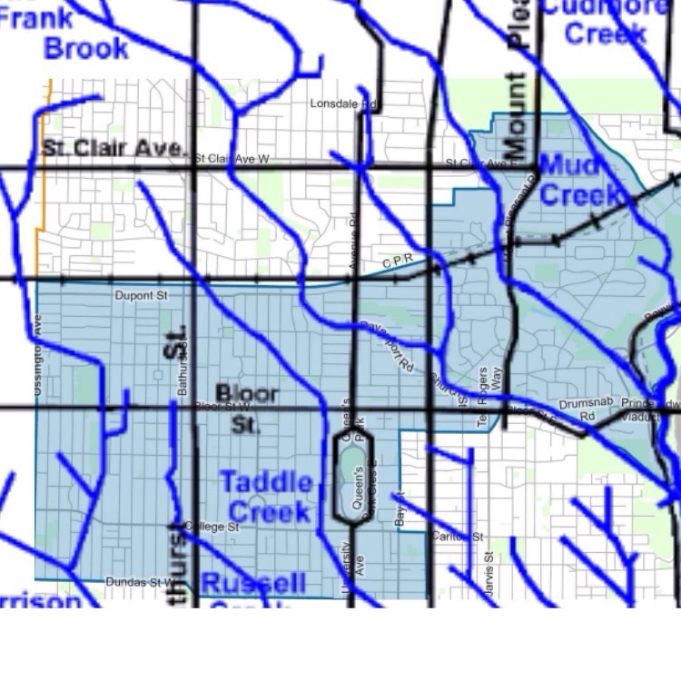 Ward 11’s Environmental Strategy is Failing the Ground Beneath It ...